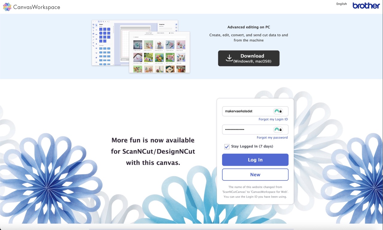 Canvas Workspace – Guide